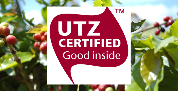 Chứng nhận UTZ – Siva Drrak I Cà phê đặc sản