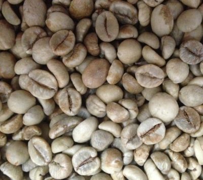 ROBUSTA Bột pha phin truyền thống – Siva Drrak I Cà phê đặc sản